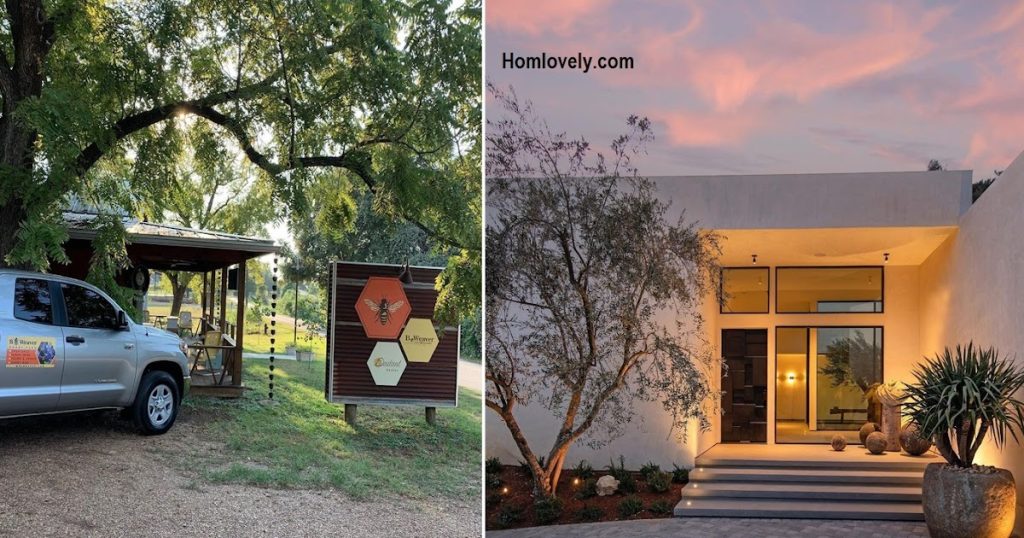 Why You Should Maintain any Large Tree in Front of Your House ...